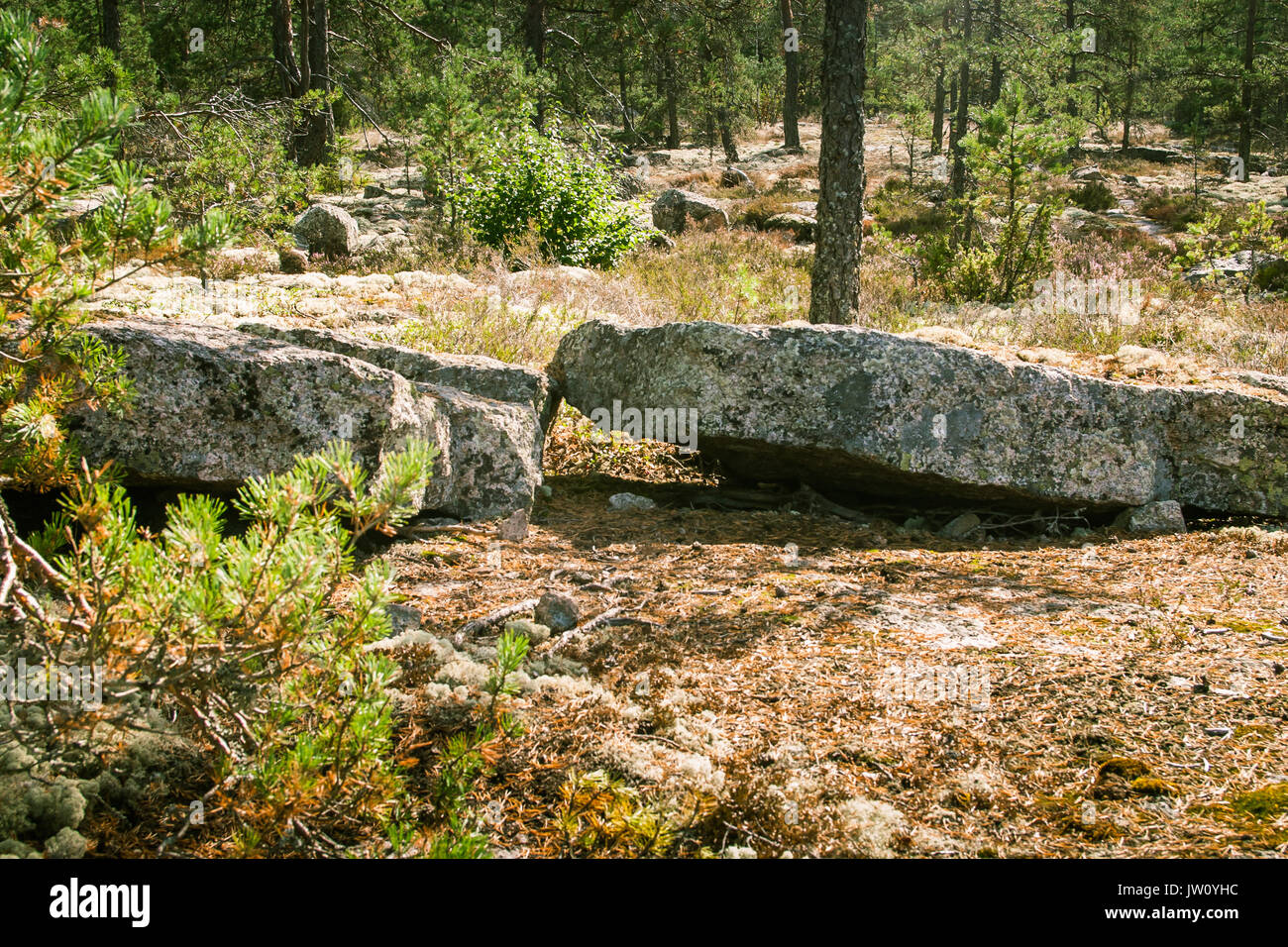 A beautiful rocky forest landscape in Finland Stock Photo - Alamy