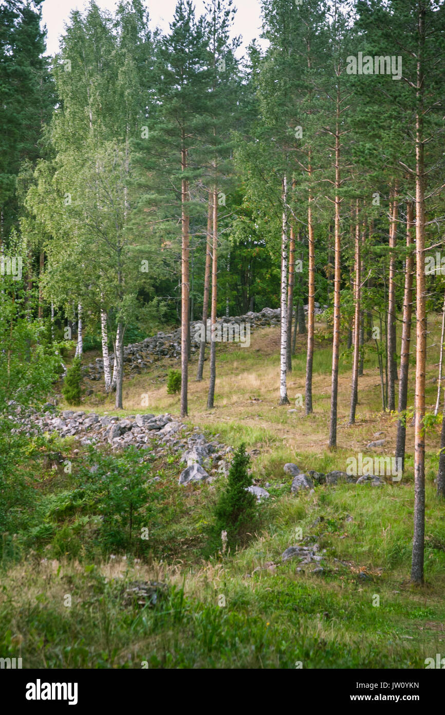 A beautiful rocky forest landscape in Finland Stock Photo - Alamy