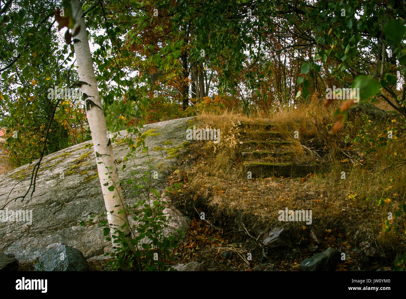 A beautiful rocky forest landscape in Finland Stock Photo - Alamy