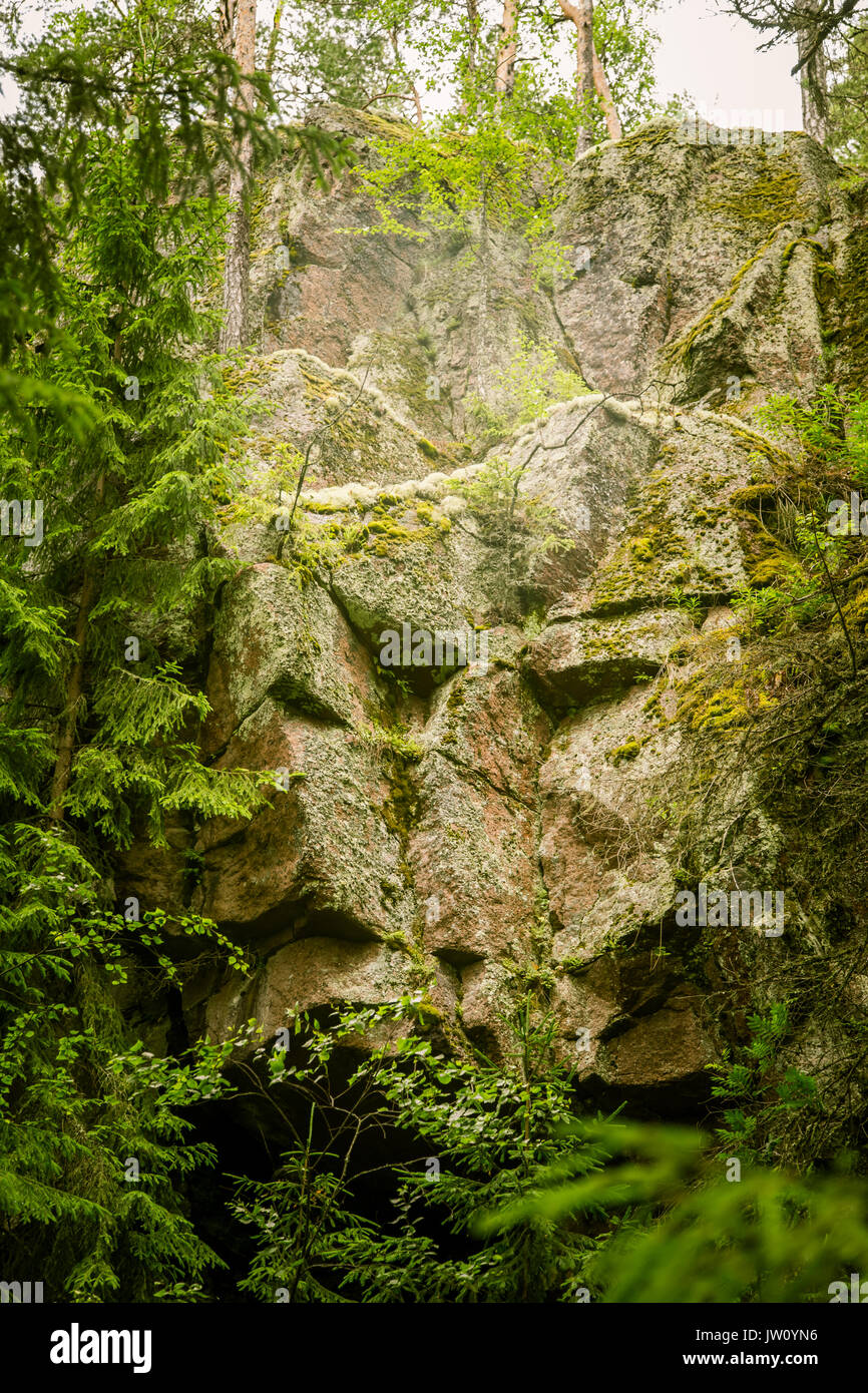 A beautiful rocky forest landscape in Finland Stock Photo - Alamy