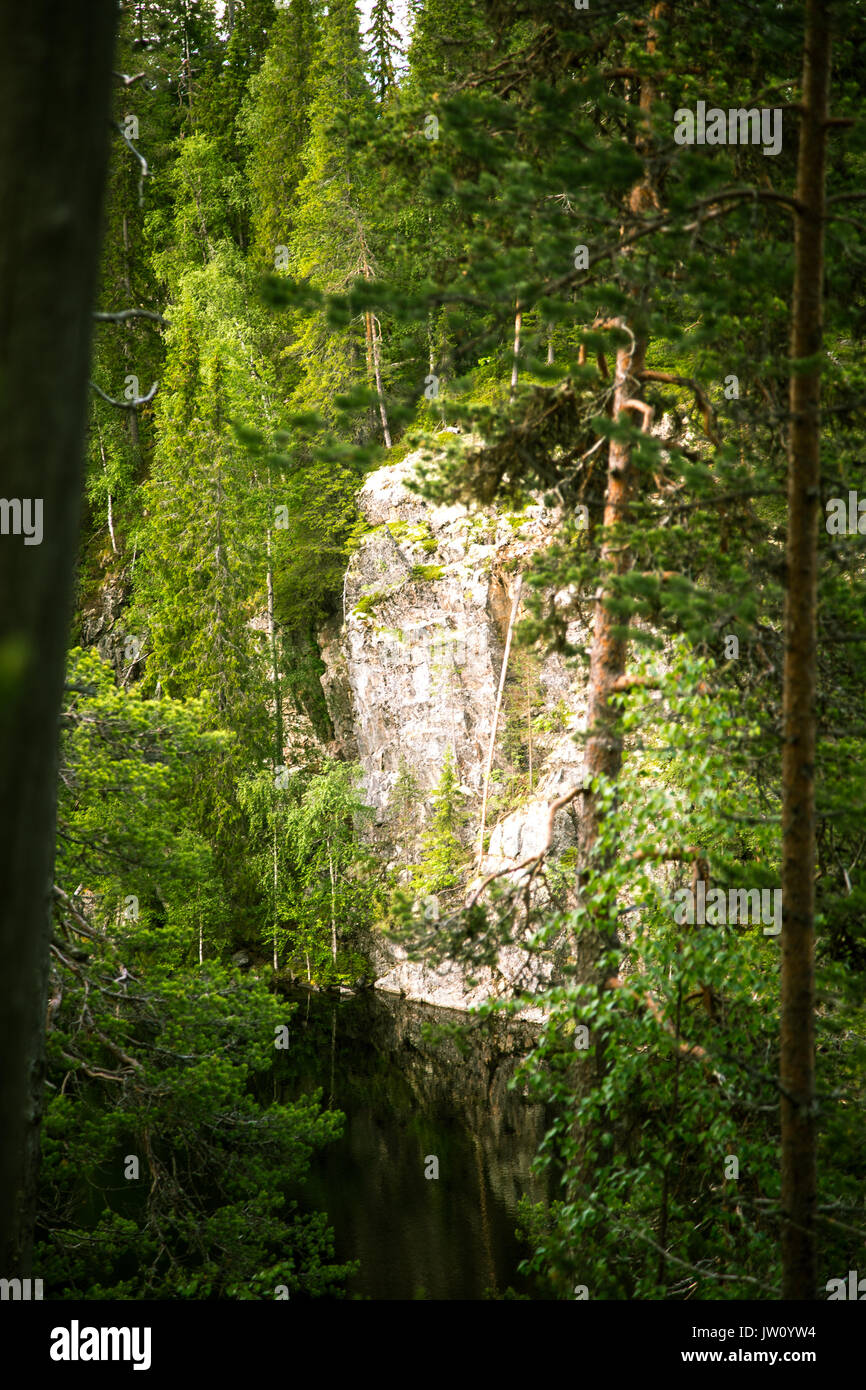 A beautiful rocky forest landscape in Finland Stock Photo - Alamy