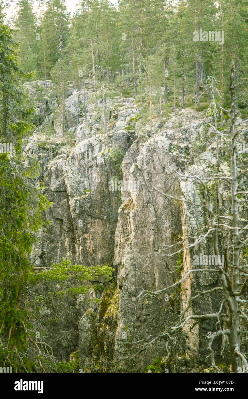 A beautiful rocky forest landscape in Finland Stock Photo - Alamy