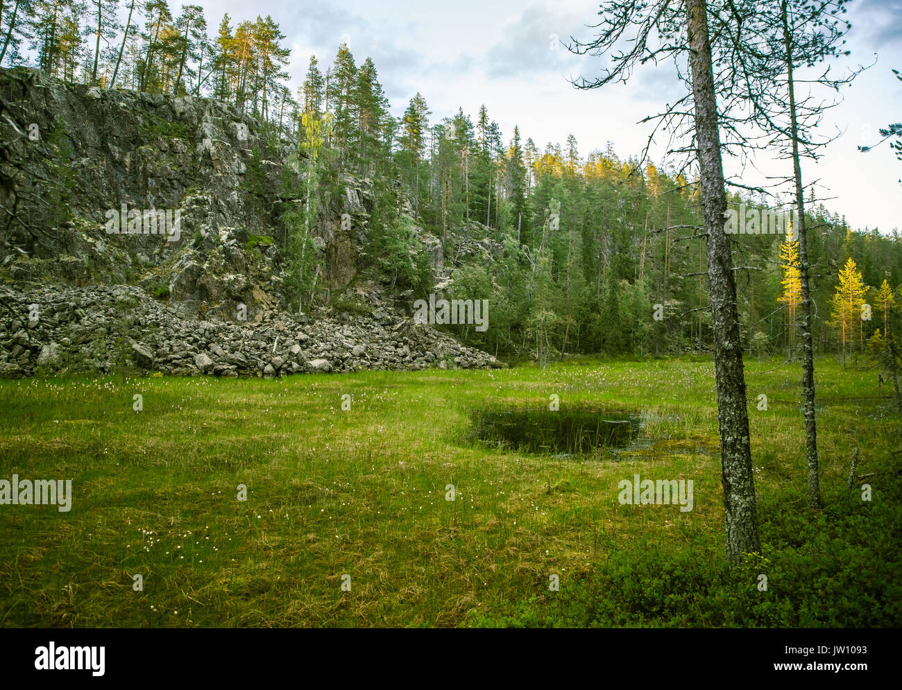 A beautiful rocky forest landscape in Finland Stock Photo - Alamy