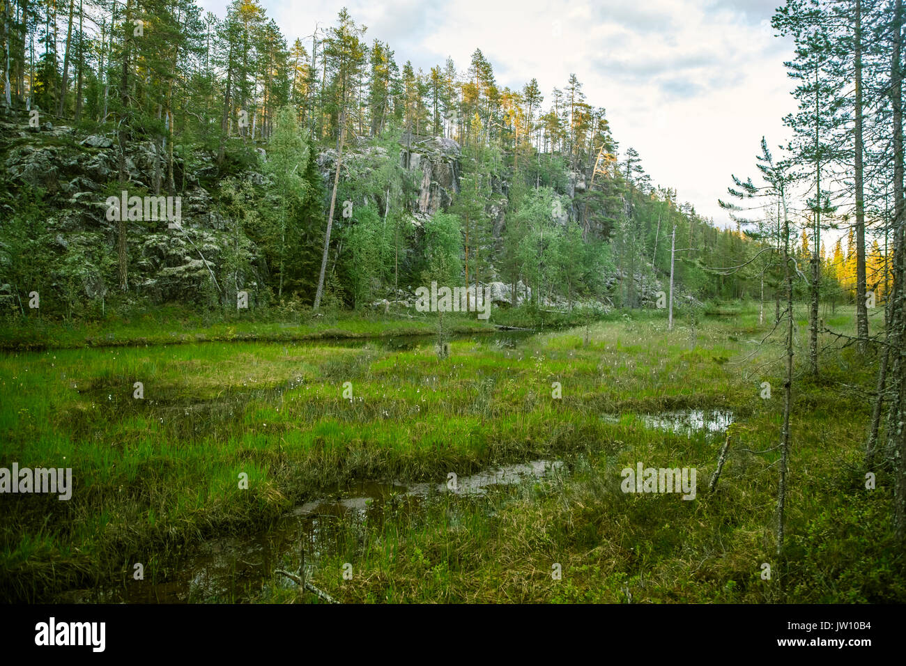 A beautiful rocky forest landscape in Finland Stock Photo - Alamy