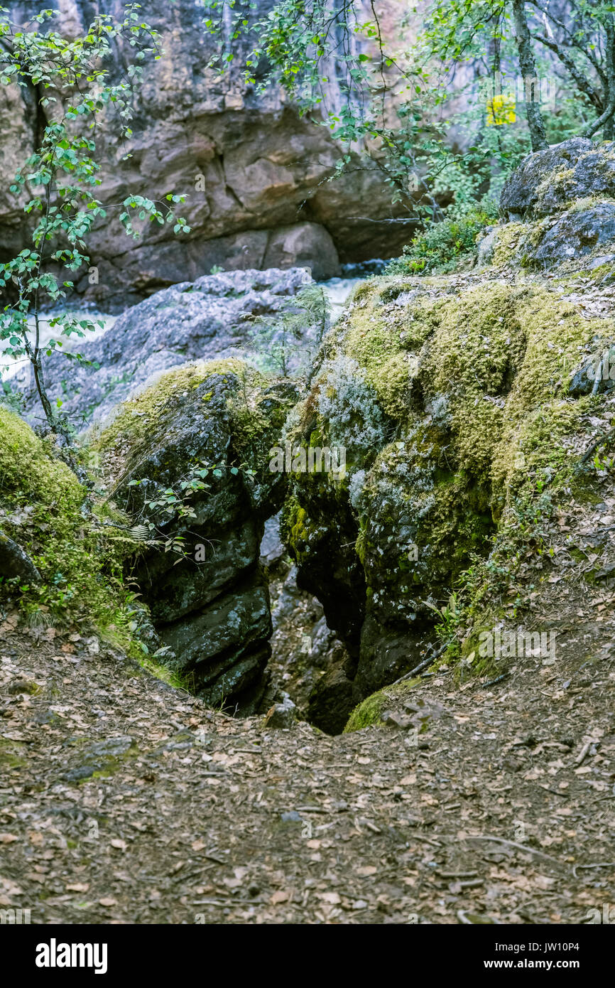 A beautiful rocky forest landscape in Finland Stock Photo - Alamy