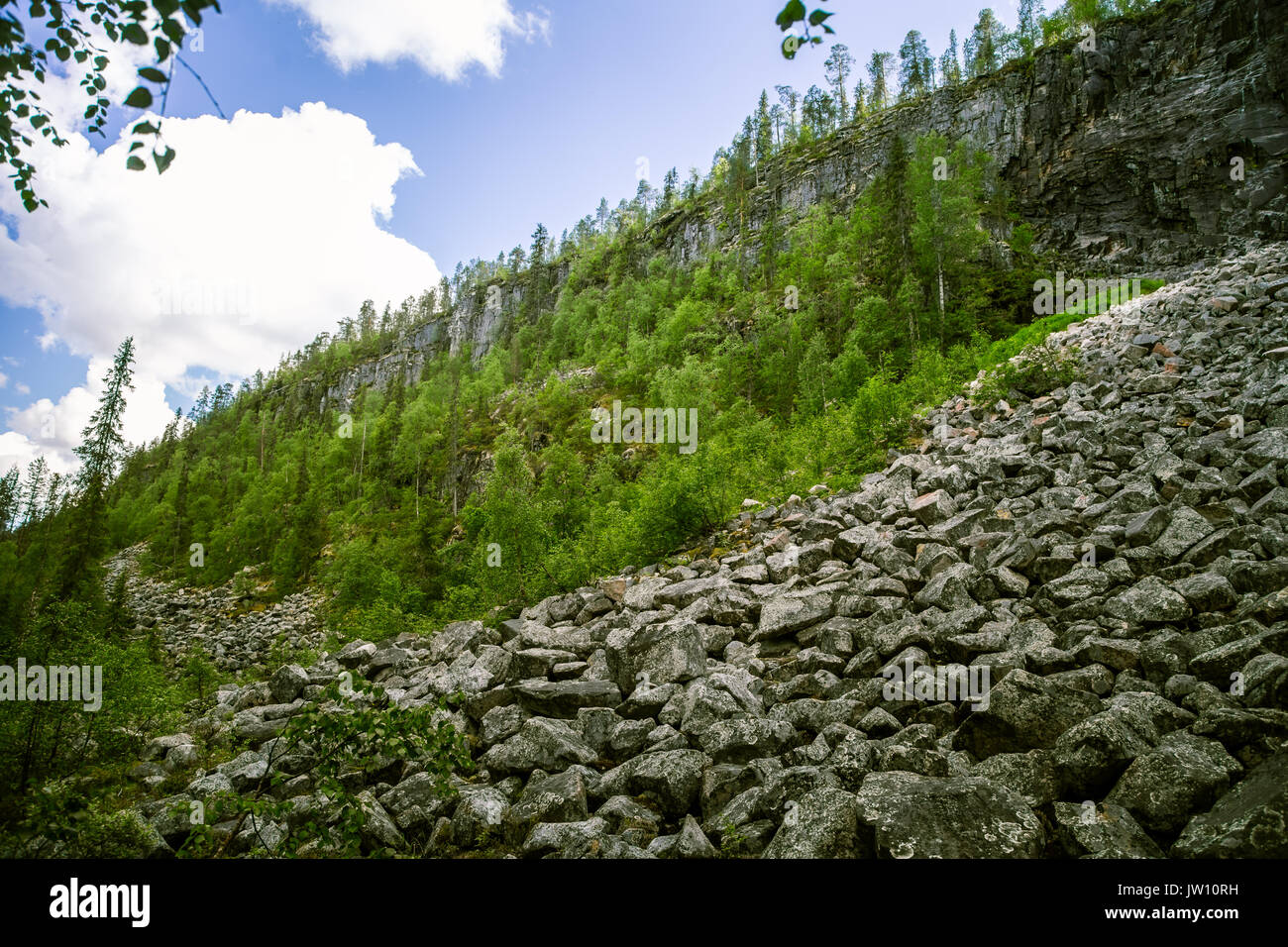 Rocky forest landscape hi-res stock photography and images - Alamy