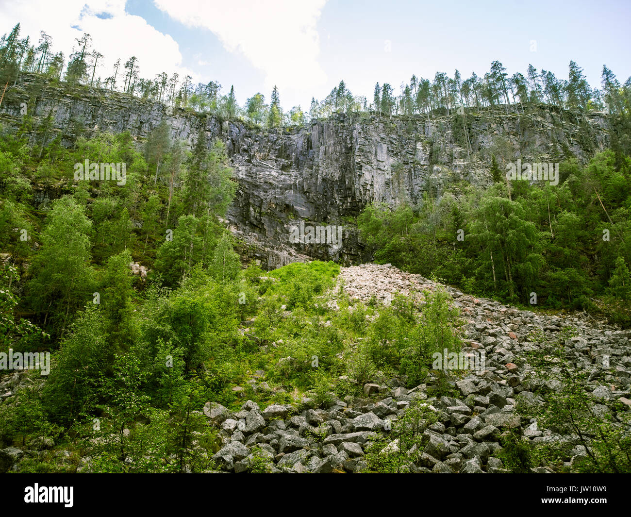 A beautiful rocky forest landscape in Finland Stock Photo - Alamy