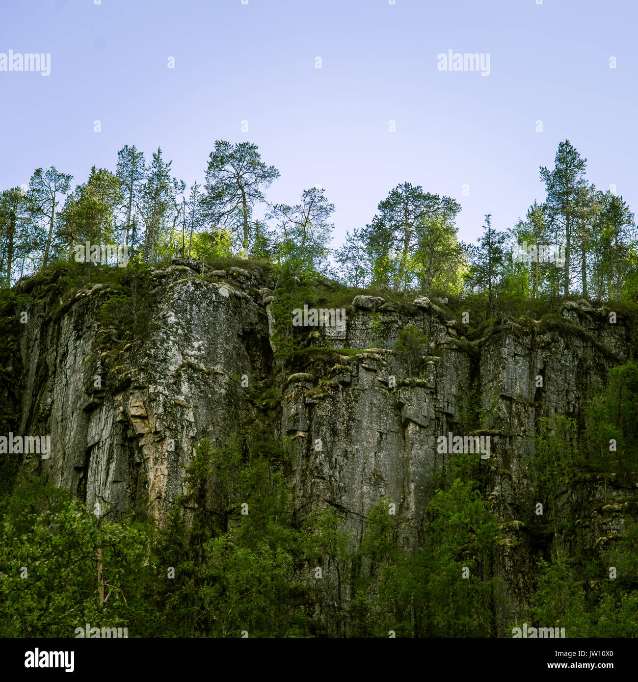 A beautiful rocky forest landscape in Finland Stock Photo - Alamy