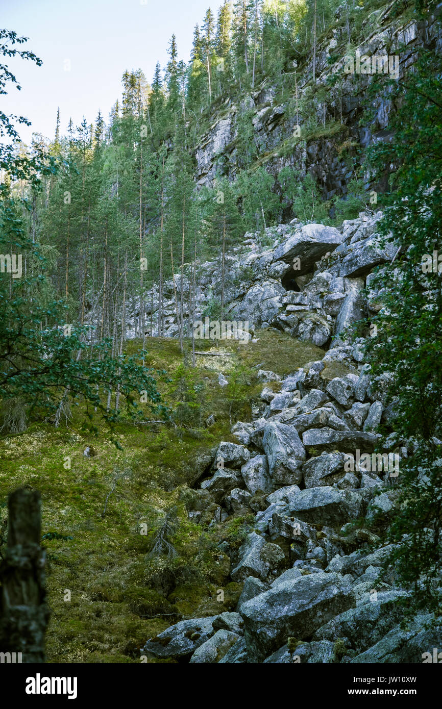 A beautiful rocky forest landscape in Finland Stock Photo - Alamy