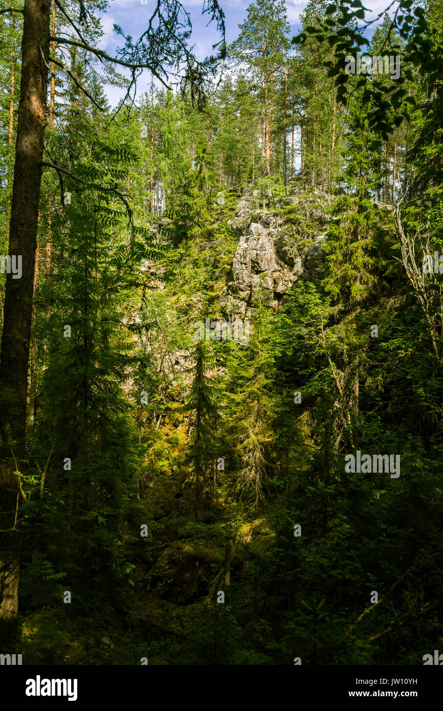 A beautiful rocky forest landscape in Finland Stock Photo - Alamy