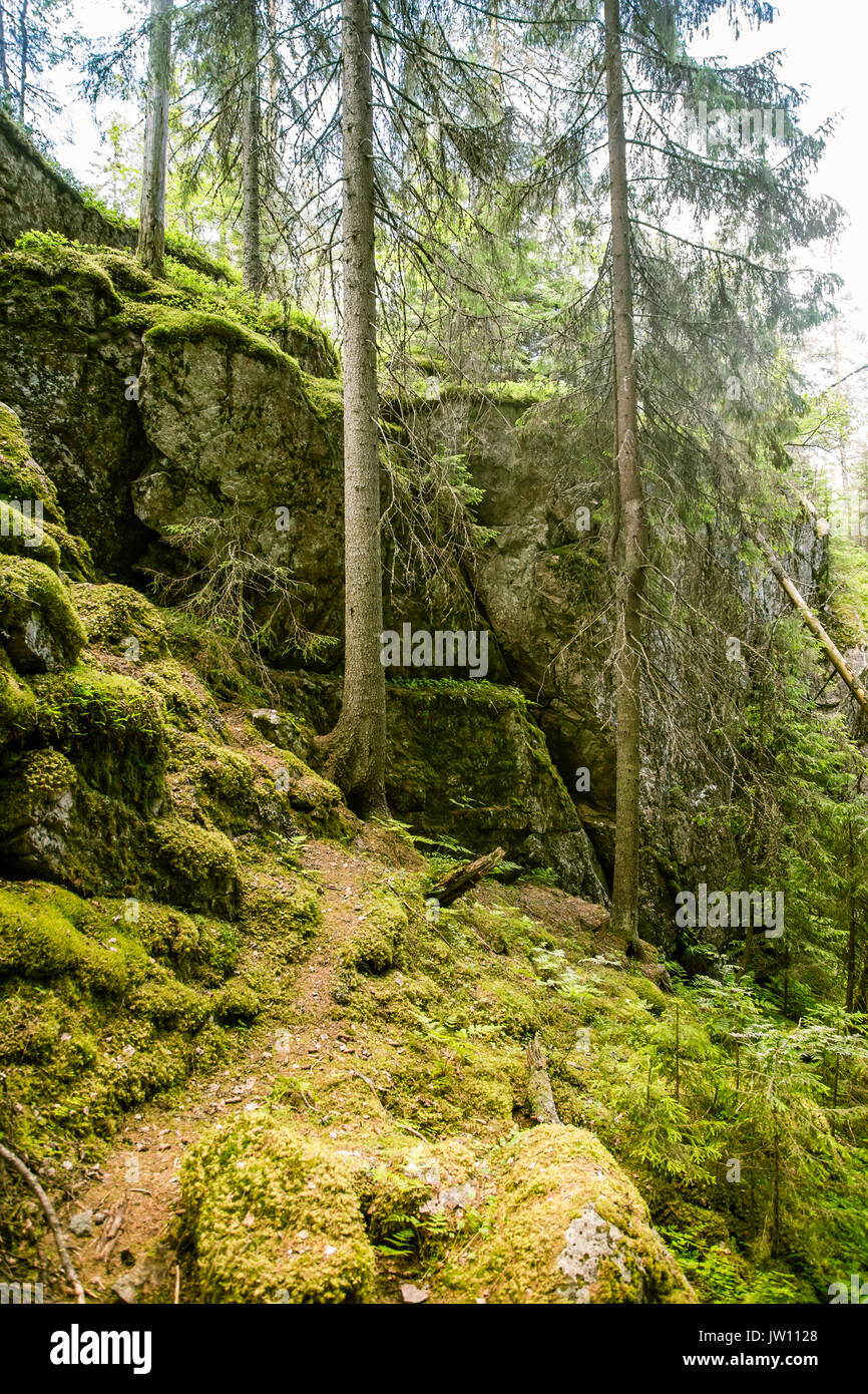 A beautiful rocky forest landscape in Finland Stock Photo - Alamy