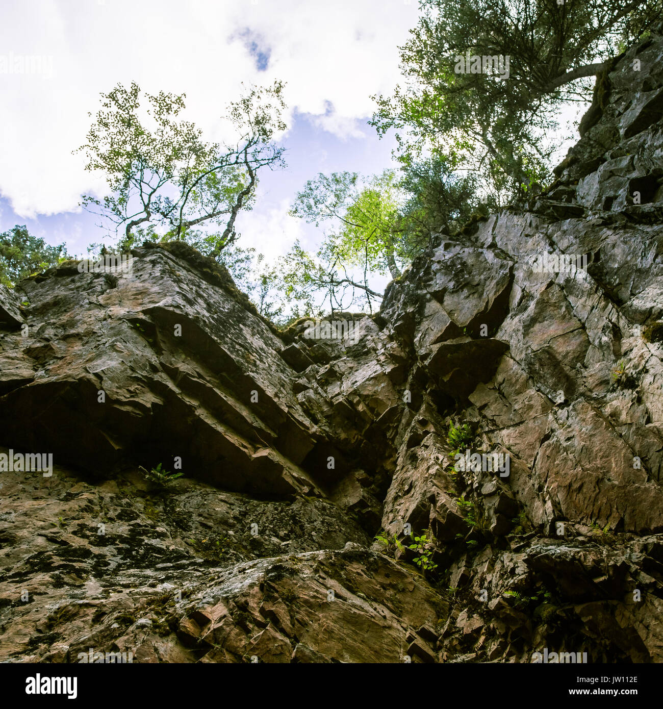 A beautiful rocky forest landscape in Finland Stock Photo - Alamy