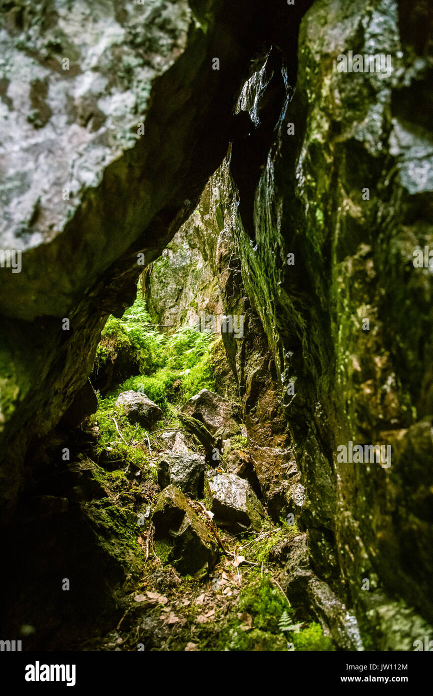 A beautiful rocky forest landscape in Finland Stock Photo - Alamy