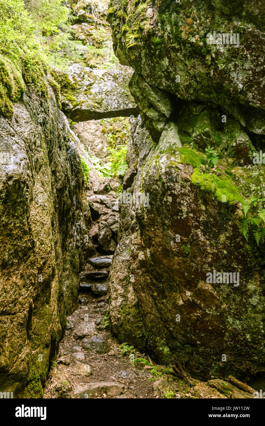 A beautiful rocky forest landscape in Finland Stock Photo - Alamy