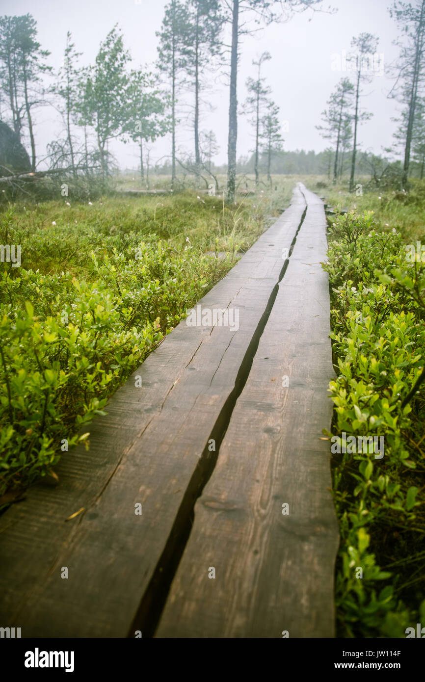 A beautiful mire landscape in Finland - dreamy, foggy look Stock Photo ...