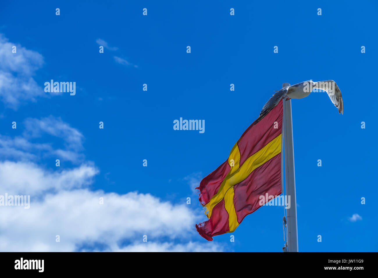 Flag and Bird Stock Photo - Alamy