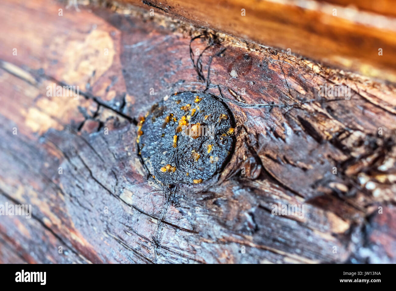 Resin and pitch hi-res stock photography and images - Alamy