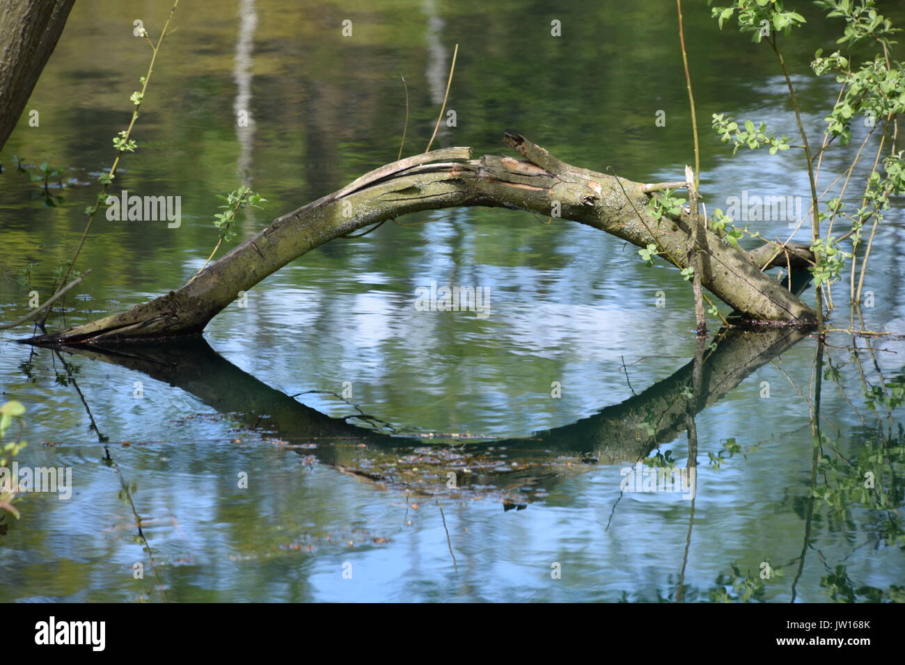 Ellipse water hi-res stock photography and images - Alamy