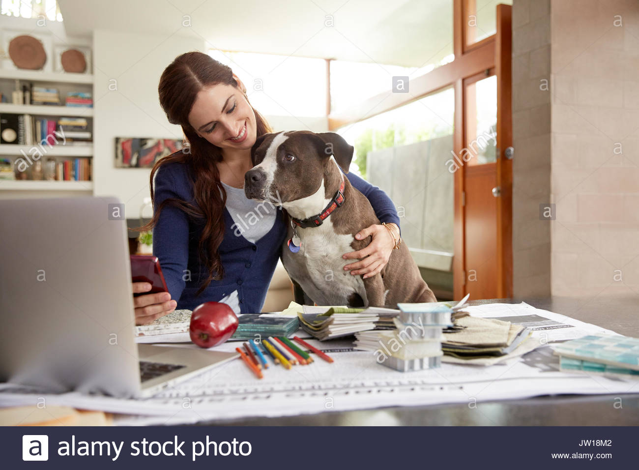 Dog desk hi-res stock photography and images - Alamy