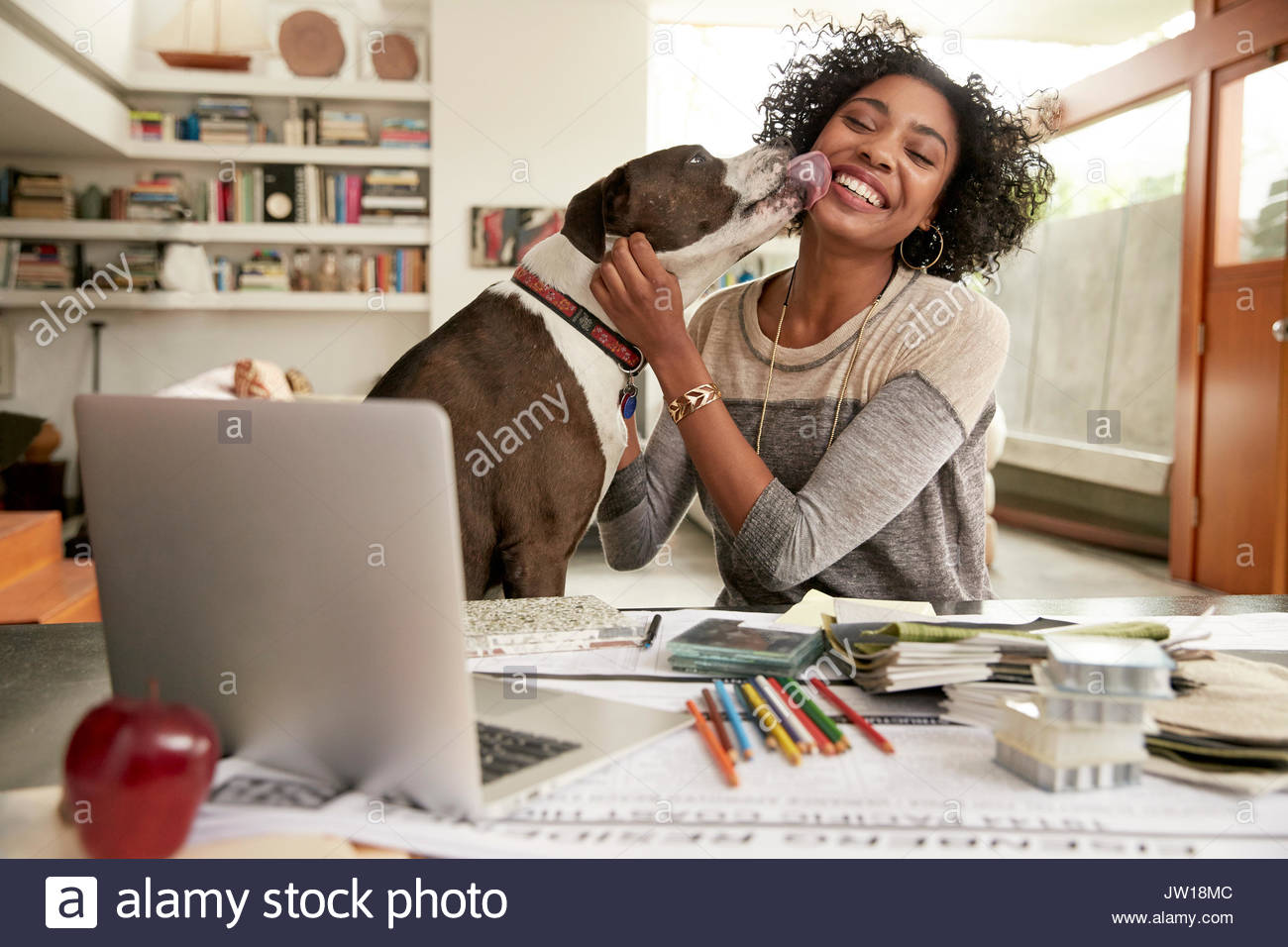 Working at home with dog hi-res stock photography and images - Alamy