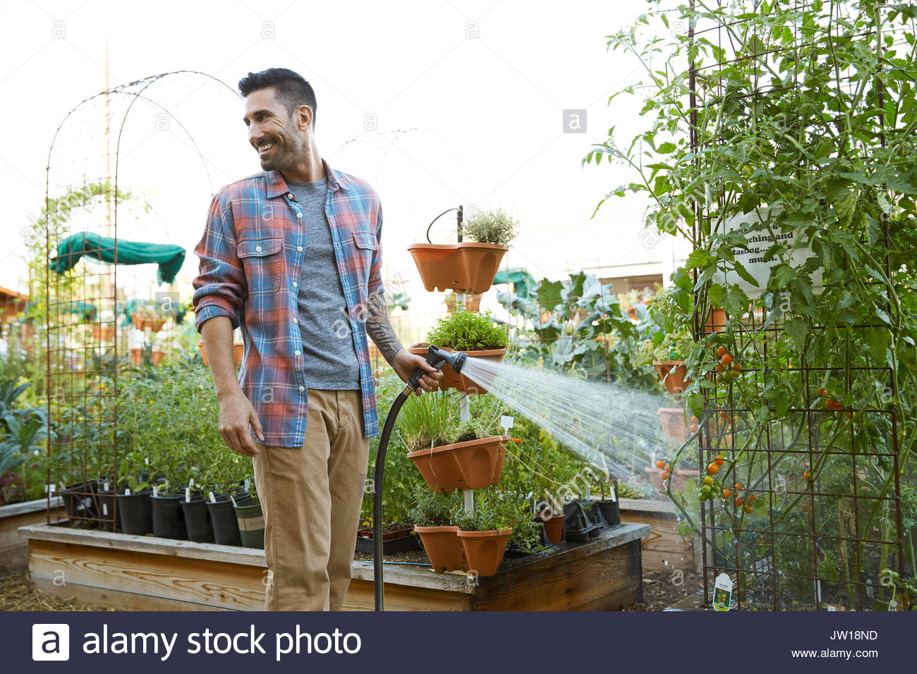 Person watering vegetable garden hi-res stock photography and images ...