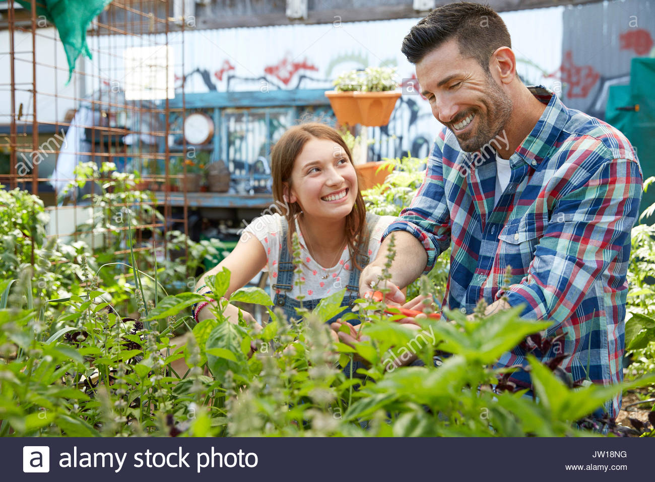 Pruning plants pruning hi-res stock photography and images - Alamy