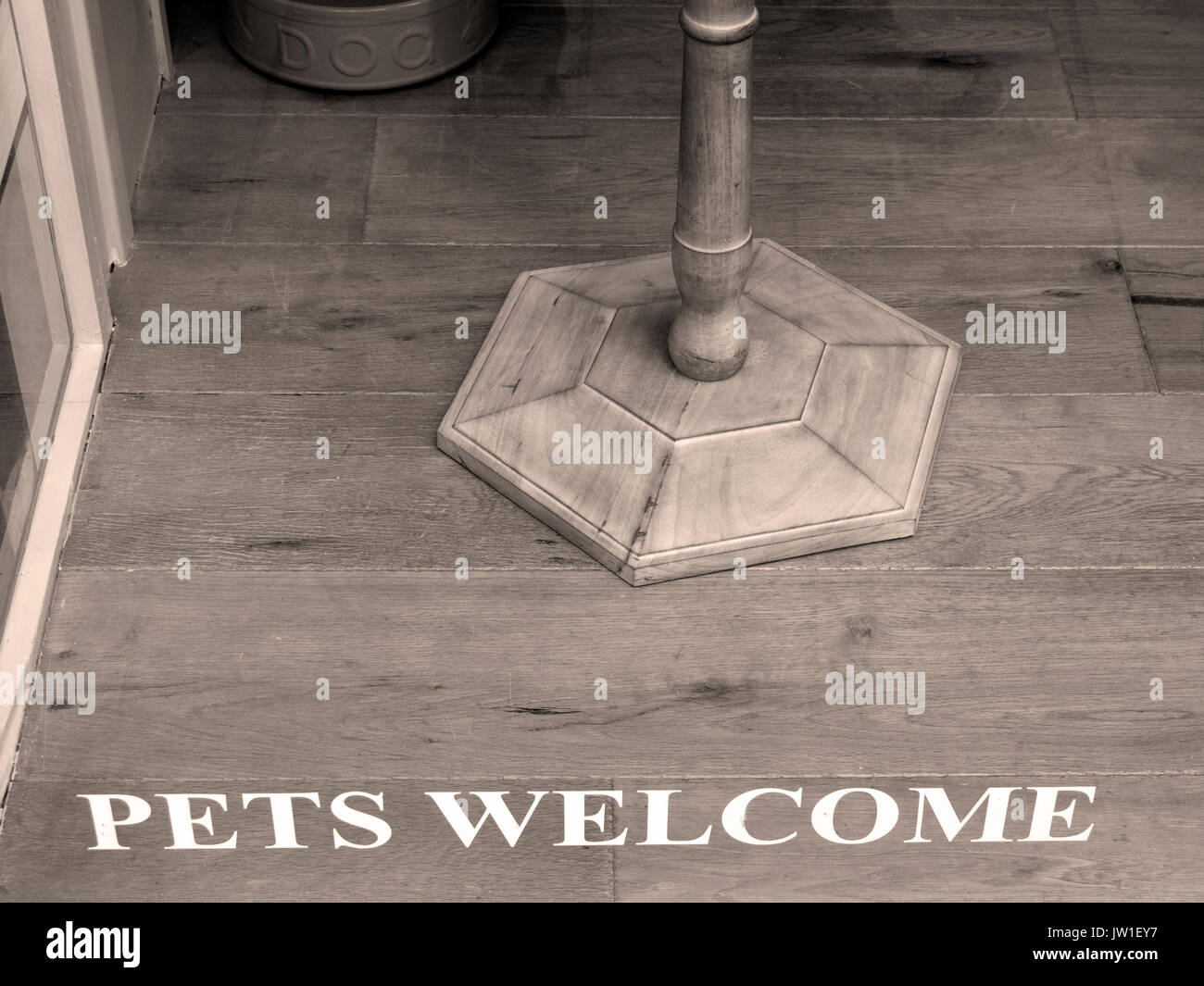 Pets welcome inside store sign in retail shop window Stock Photo - Alamy