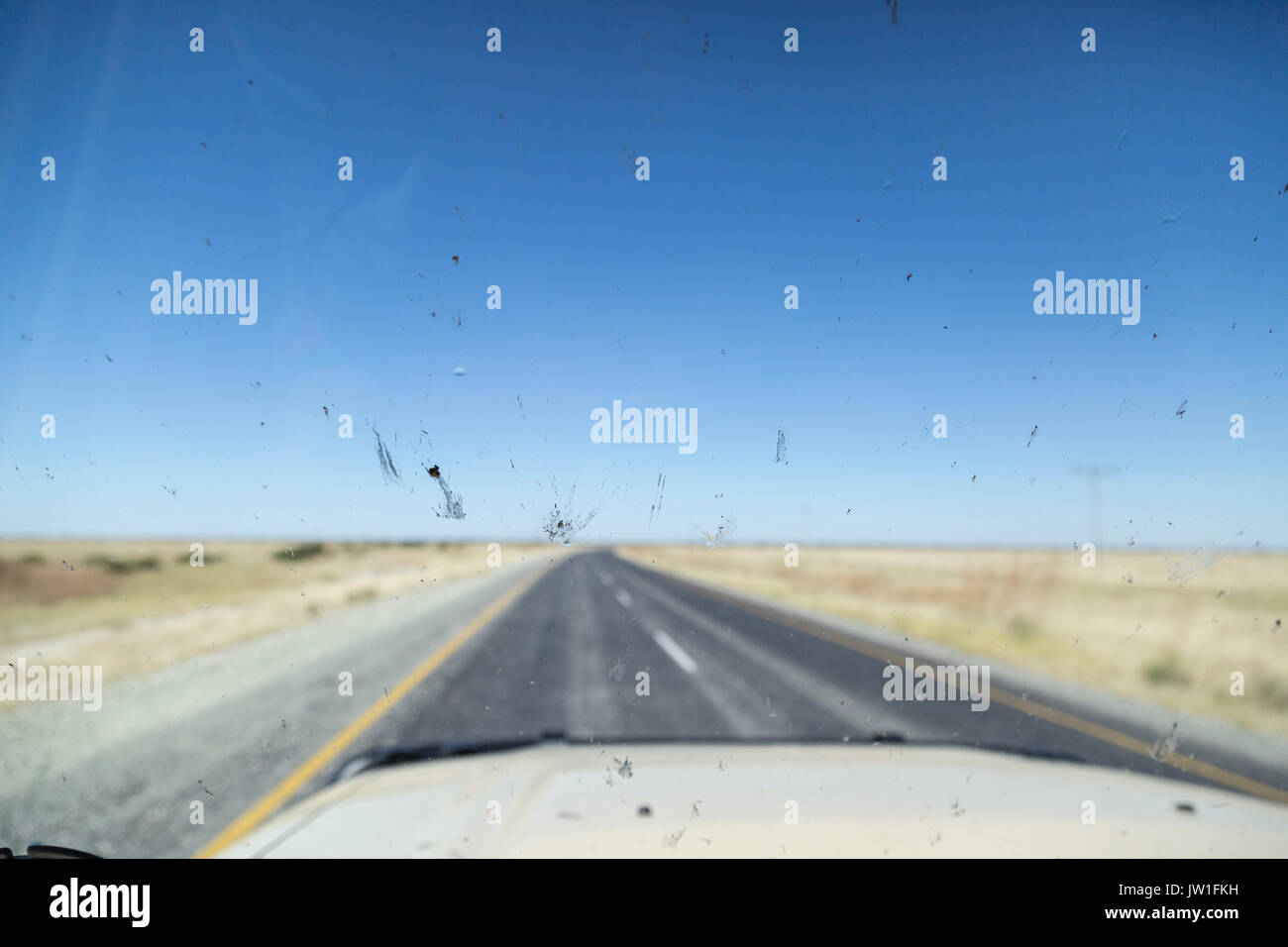 Splattered insects hi-res stock photography and images - Alamy