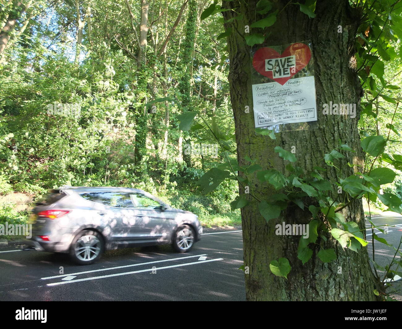 A "Save Me" sign on a street tree on Rivelin Valley Road, Sheffield ...