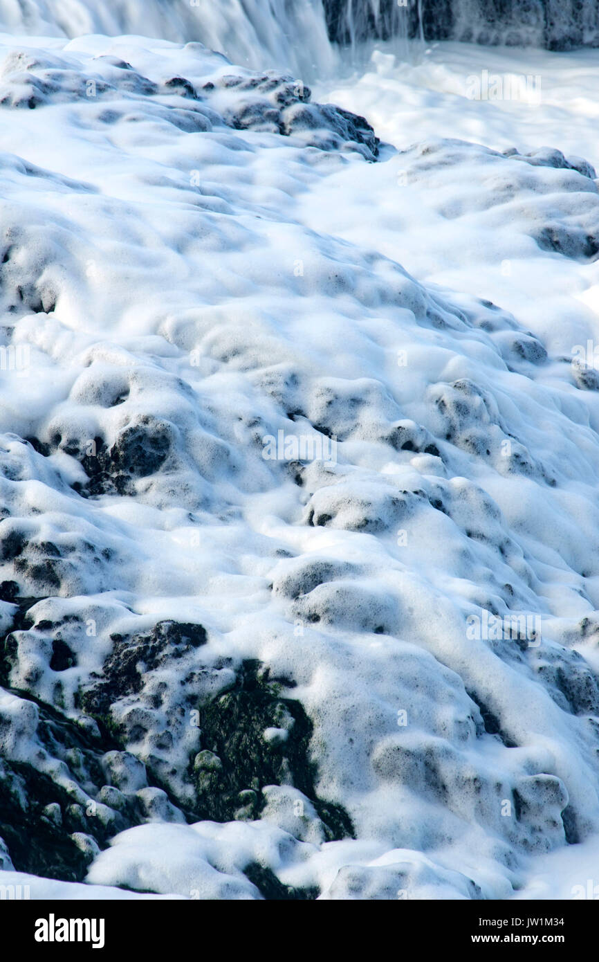 Sea foam from Captain Cook Trail, Cape Perpetua Scenic Area, Siuslaw ...
