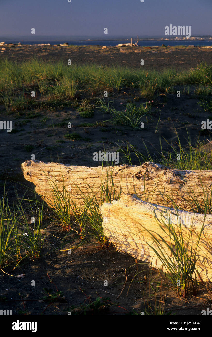 Damon point state hi-res stock photography and images - Alamy