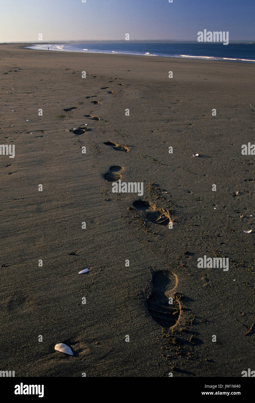 Beach footprints, Damon Point State Park, Washington Stock Photo - Alamy