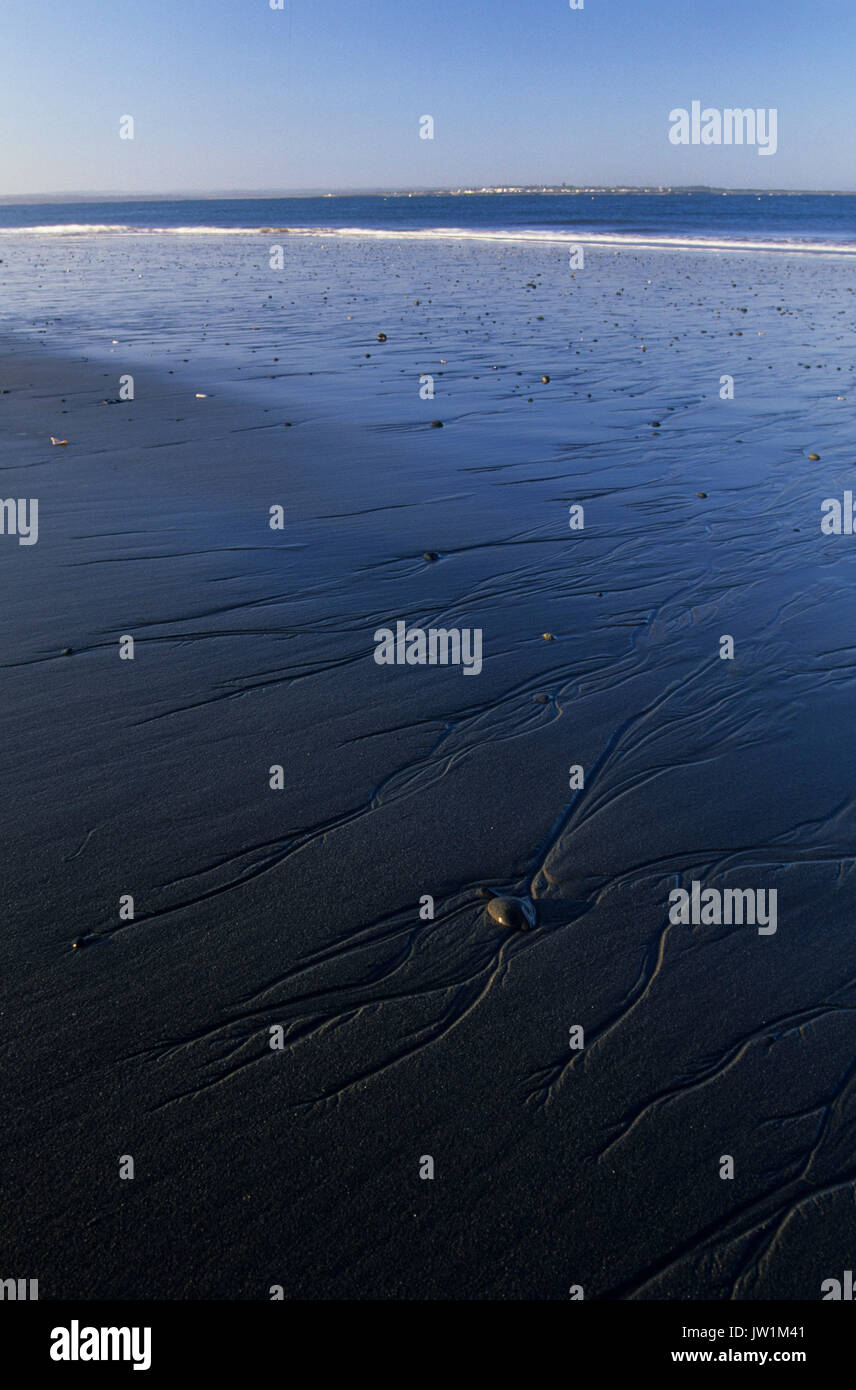 Beach, Damon Point State Park, Washington Stock Photo - Alamy