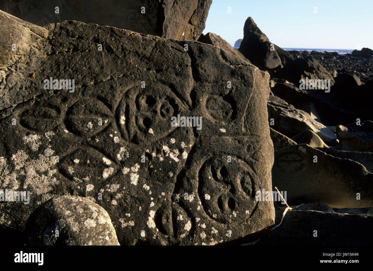 Petroglyphs at Wedding Rock, Olympic National Park, Washington Stock ...