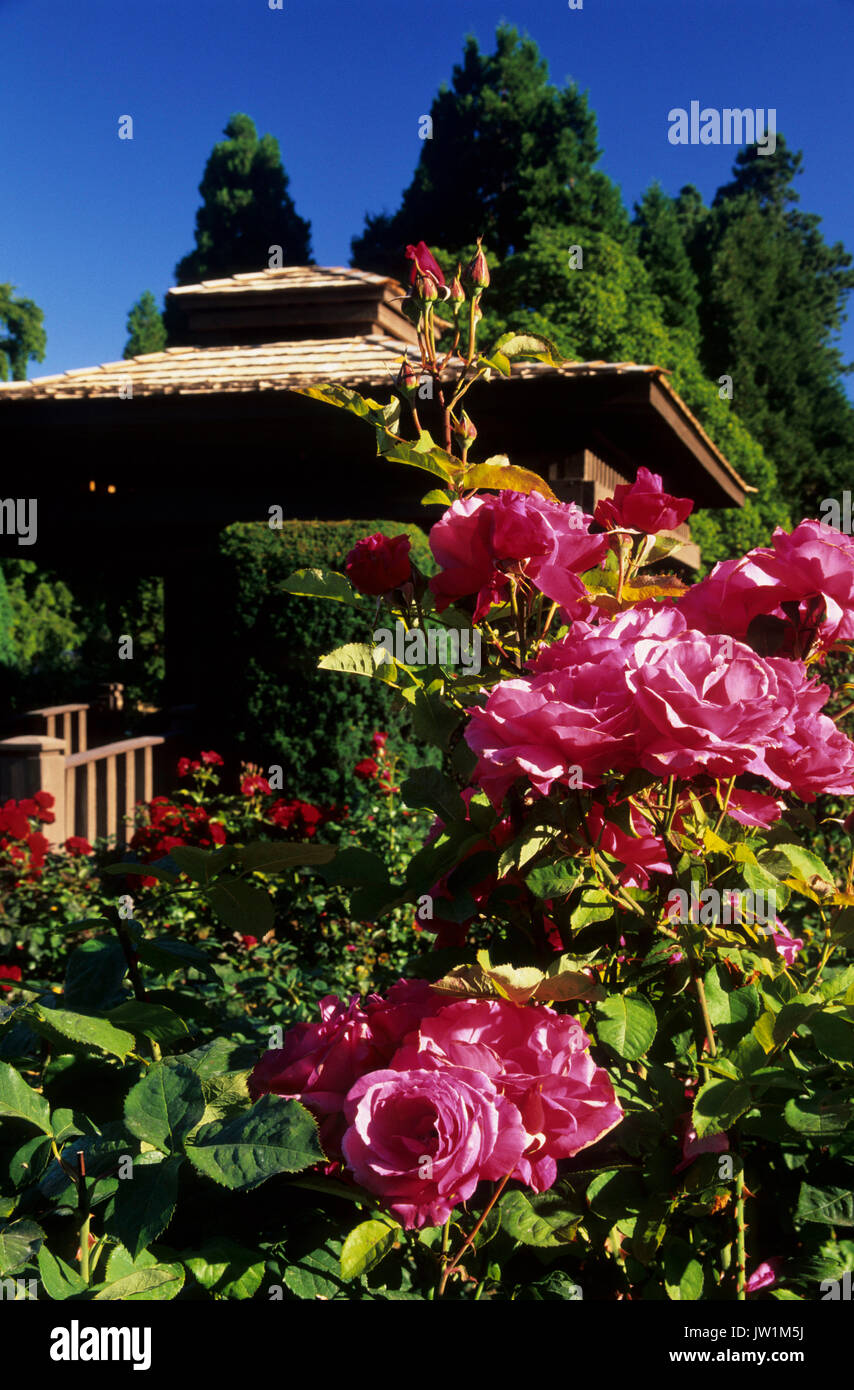 Point defiance park hi-res stock photography and images - Alamy