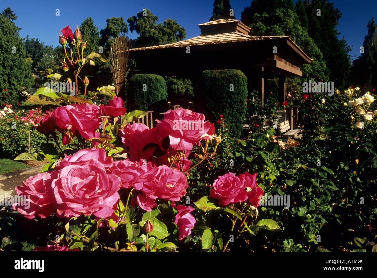 Point defiance park hi-res stock photography and images - Alamy