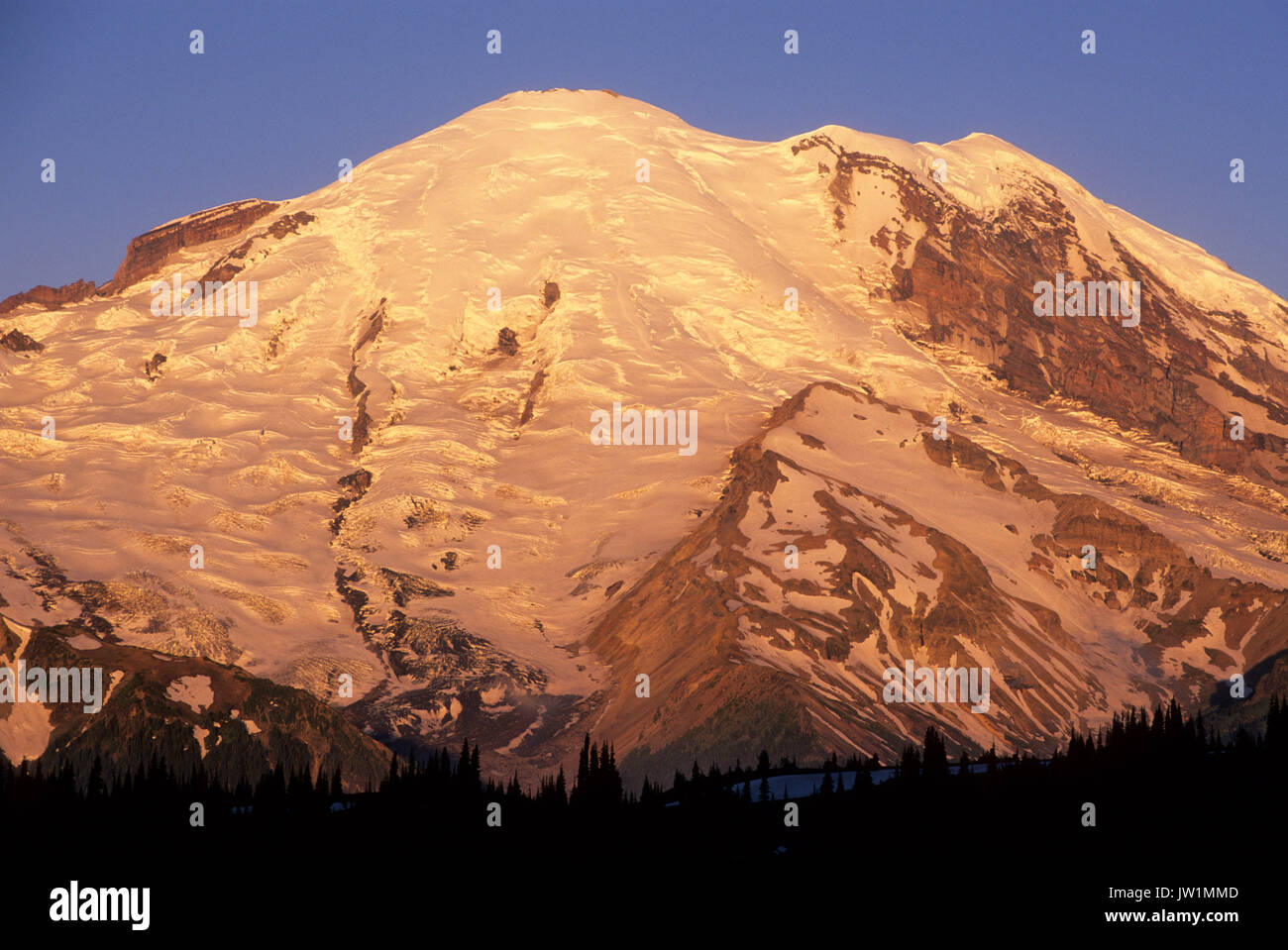 Mt Rainier from Sunrise, Mt Rainier National Park, Washington Stock ...