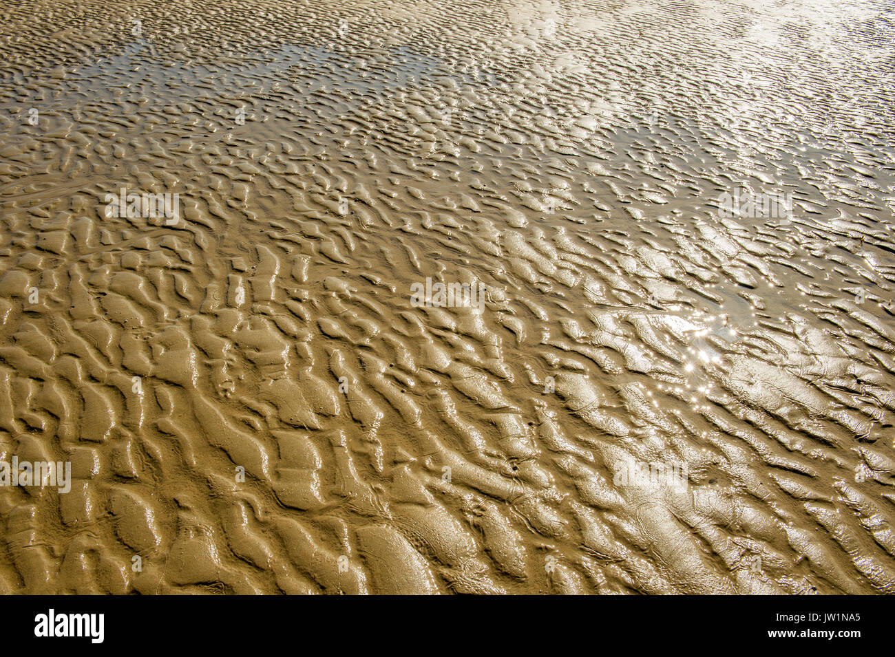 The texture of wet sea sand with patterns of water Stock Photo - Alamy