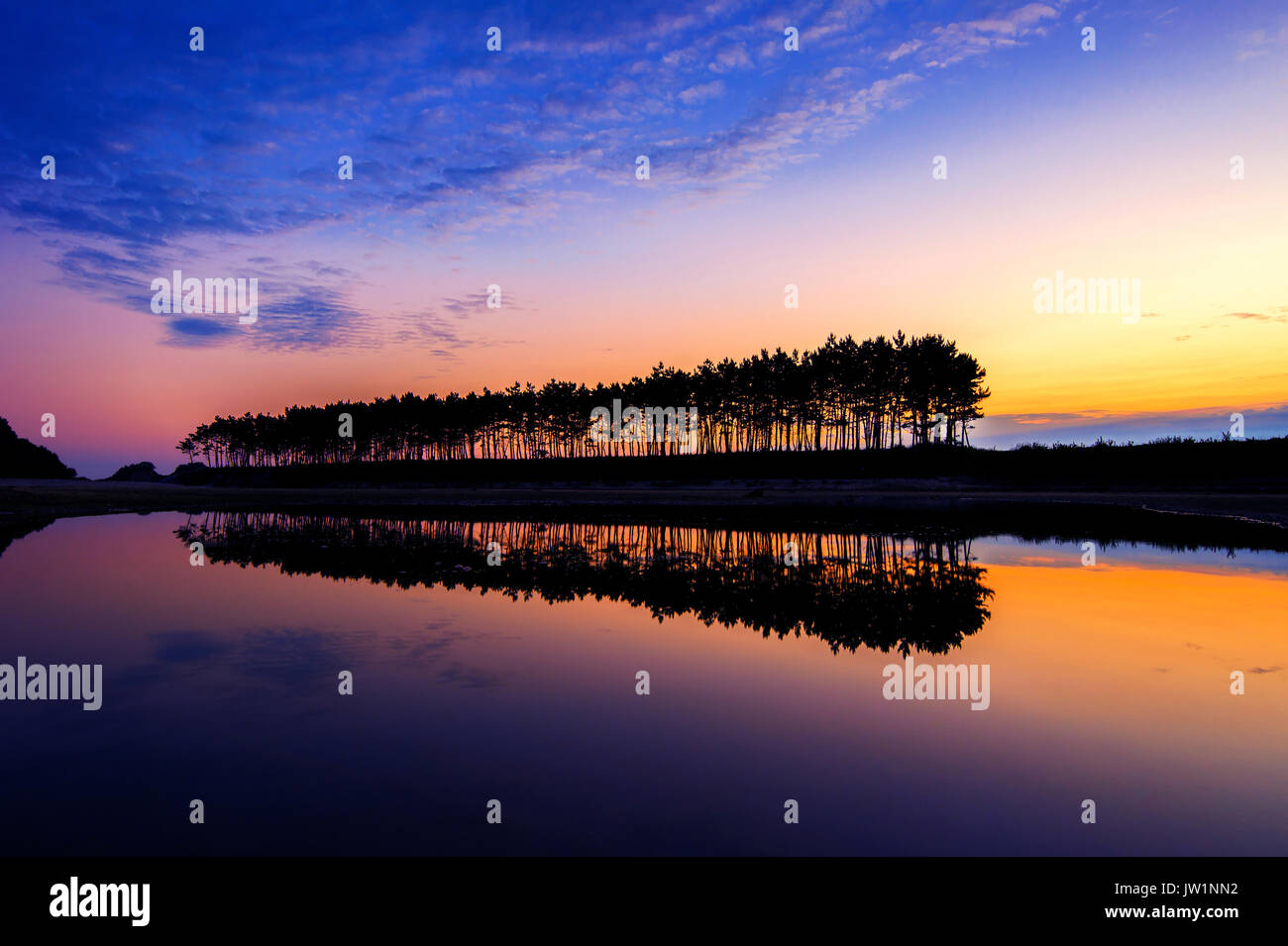 Silhouette and Reflections of row tree at sunset Stock Photo - Alamy