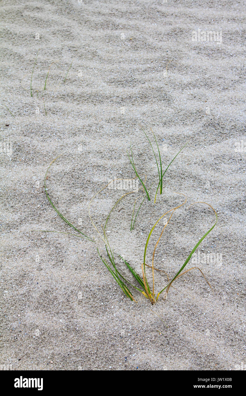 Swept sand hi-res stock photography and images - Alamy
