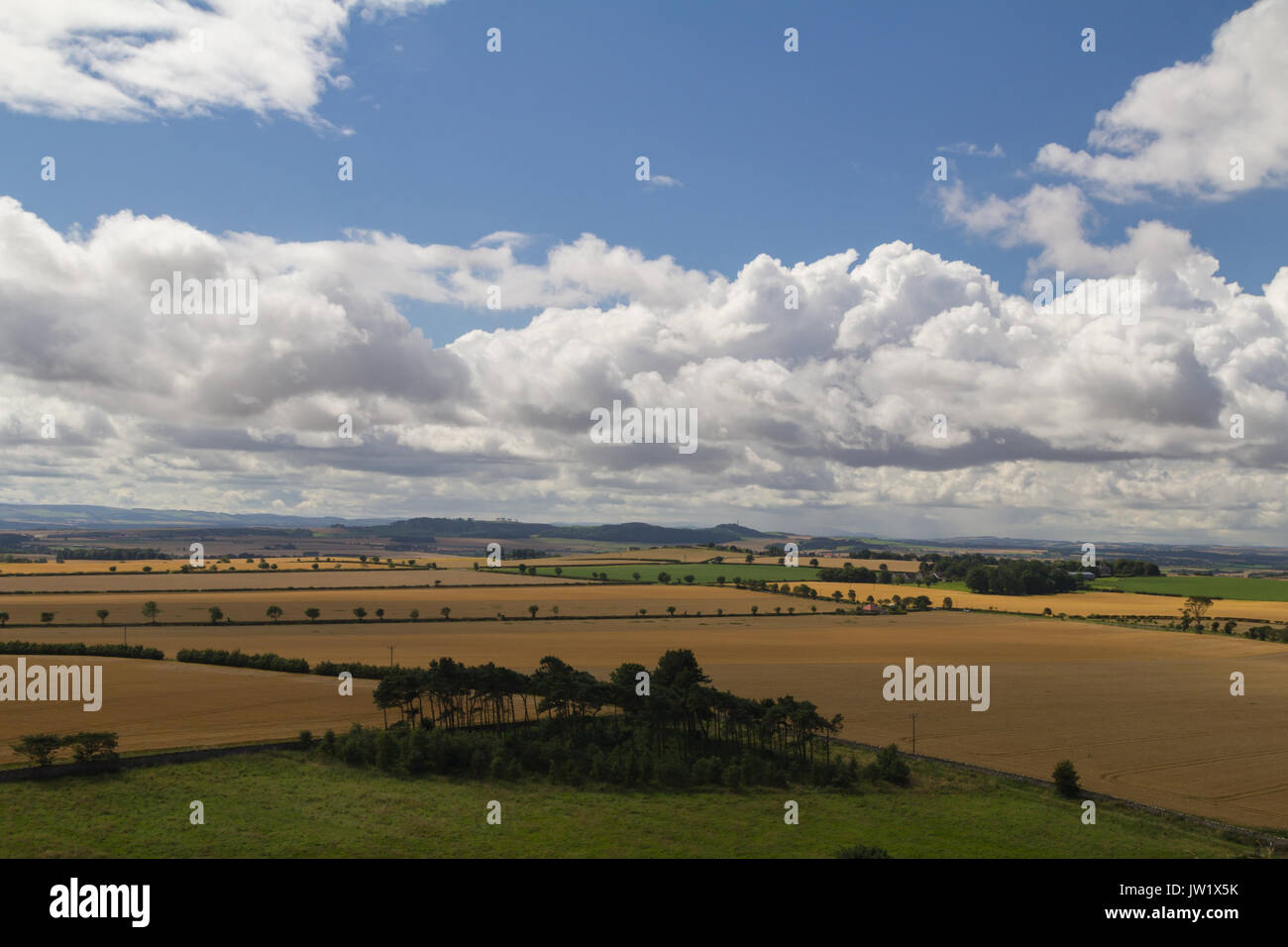 Barley scotland lowlands hi-res stock photography and images - Alamy