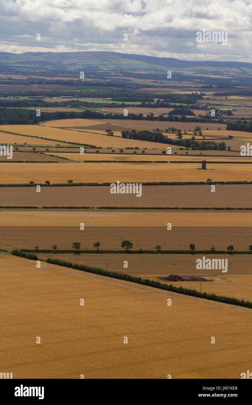 Cereals arable hi-res stock photography and images - Alamy