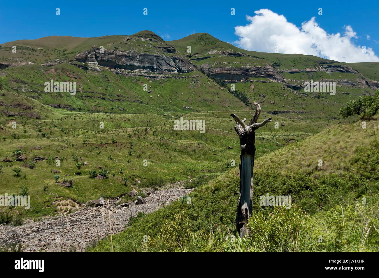 Dry course of one river from Thukela waterfall in Drakensberg mountain ...