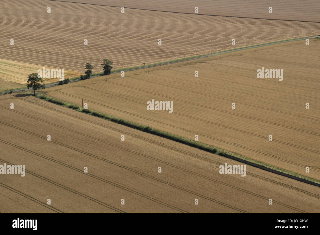 Arable fields in East Lothian Scotland Stock Photo - Alamy