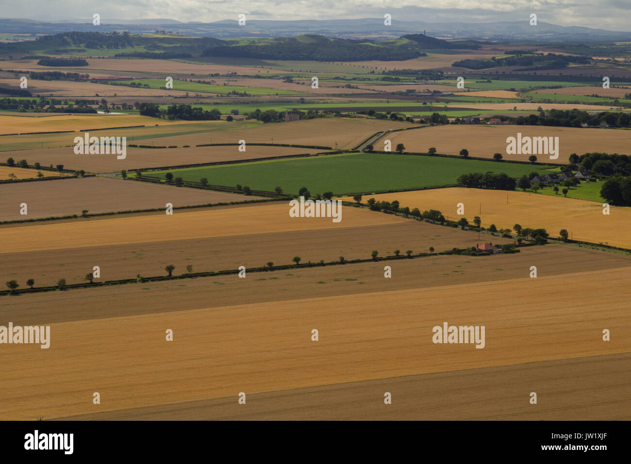 Barley scotland lowlands hi-res stock photography and images - Alamy
