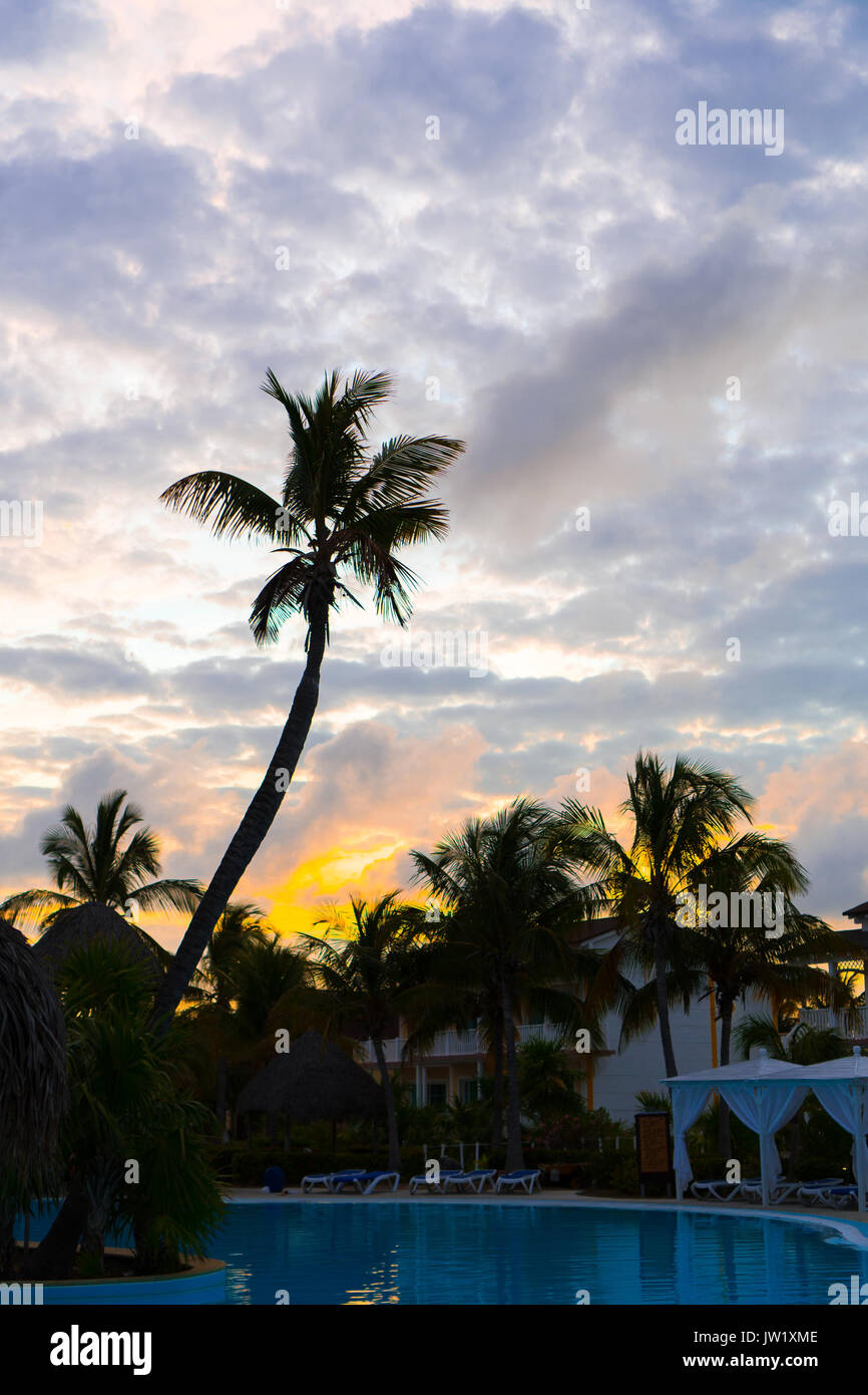 Colorful sunset over sea beach with palmtree silhouette Stock Photo - Alamy Colorful sunset over sea beach with palmtree silhouette Stock Photo - Alamy