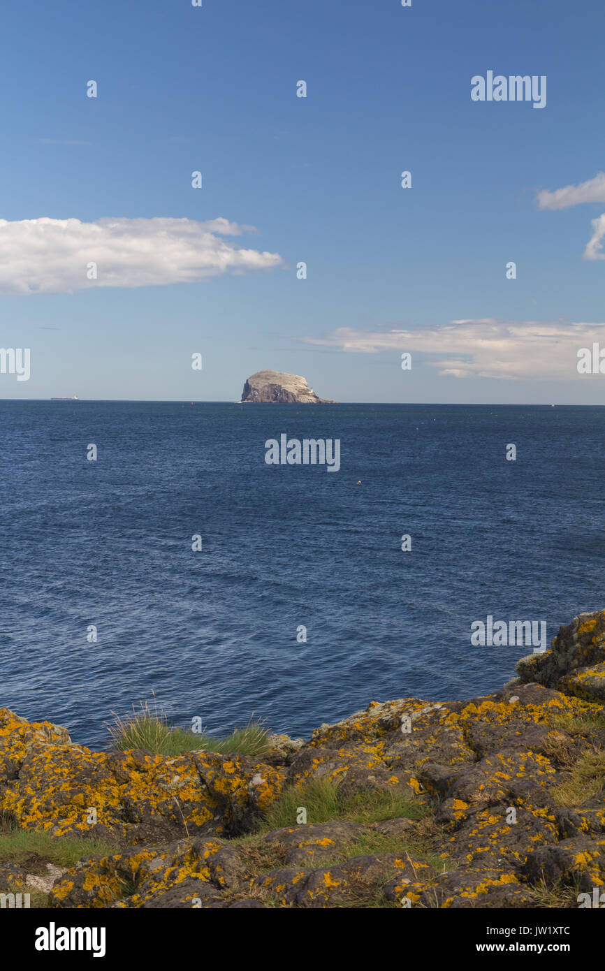Bass rock sssi hi-res stock photography and images - Alamy