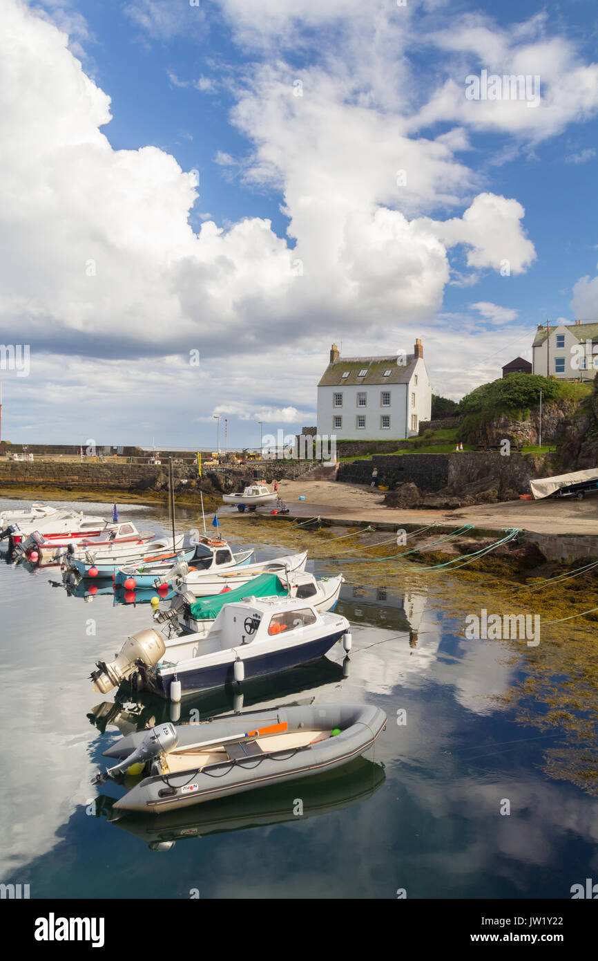 Harbour at St Abbs, Scotland Stock Photo - Alamy