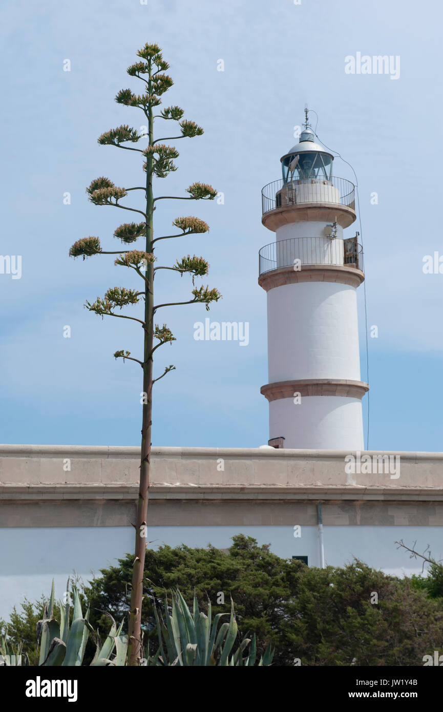 Cap Salines Lighthouse, Majorca, Spain Stock Photo - Alamy