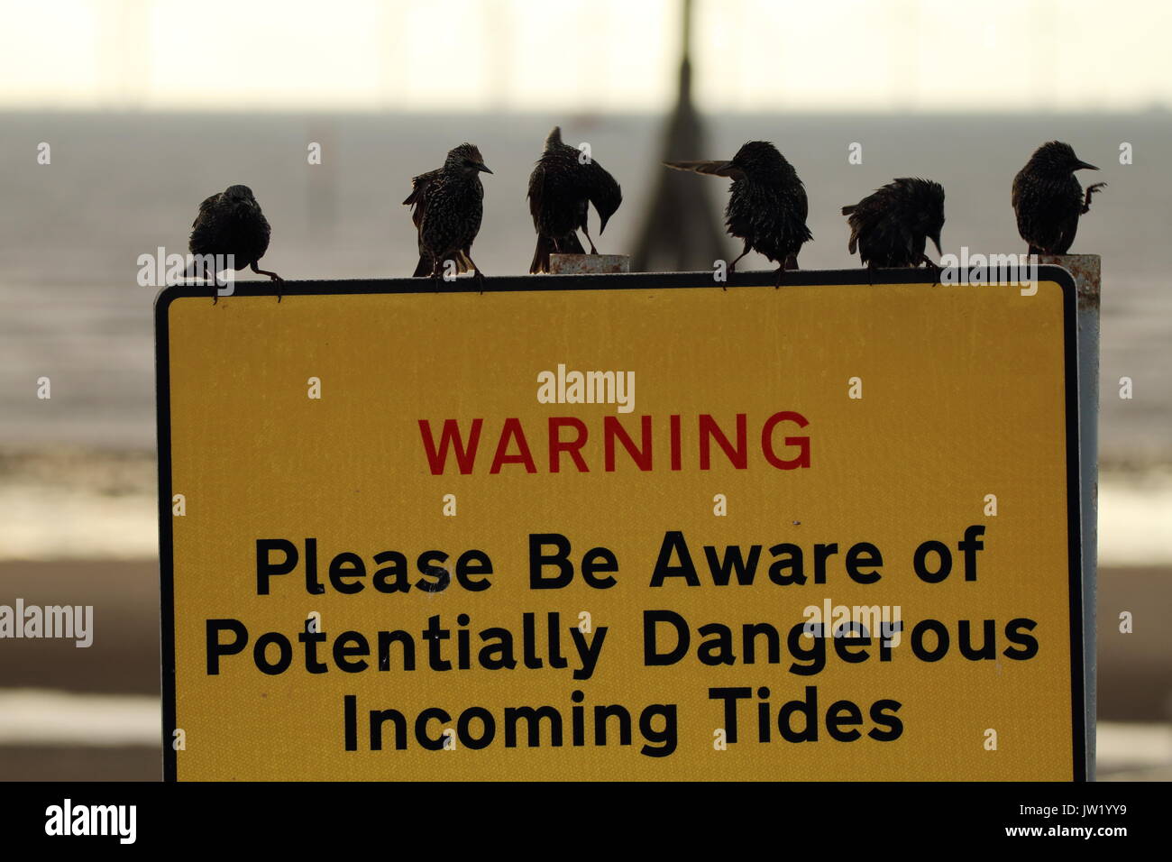 Please do not feed the birds sign hi-res stock photography and images ...